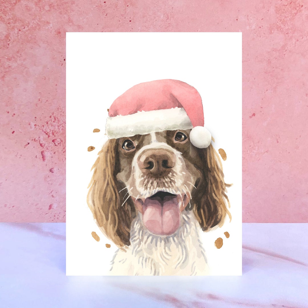 Springer Spaniel Pompom Christmas Card | Dog With Santa Hat | Card for ...