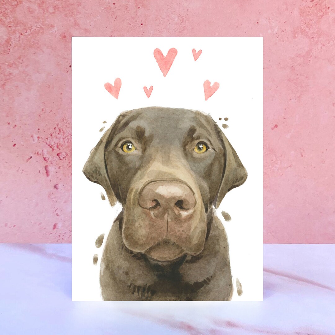 Chocolate Labrador Licks & Kisses Card for Valentines, Anniversaries ...