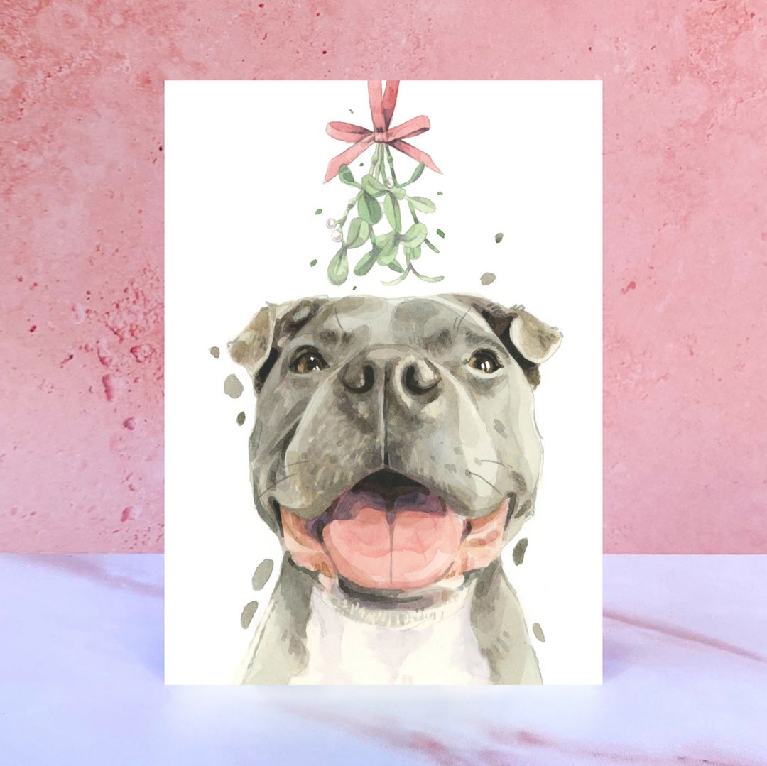 Staffordshire Bull Terrier Christmas Card, Xmas Staffie Staffy Holiday ...