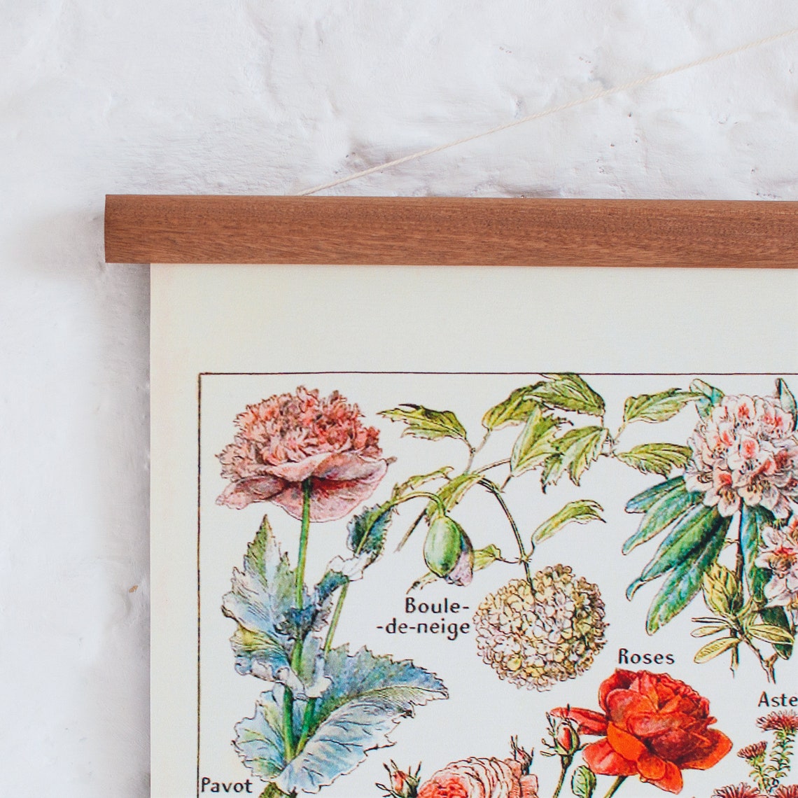 Flowers Vintage Pull Down Wall Chart - Etsy