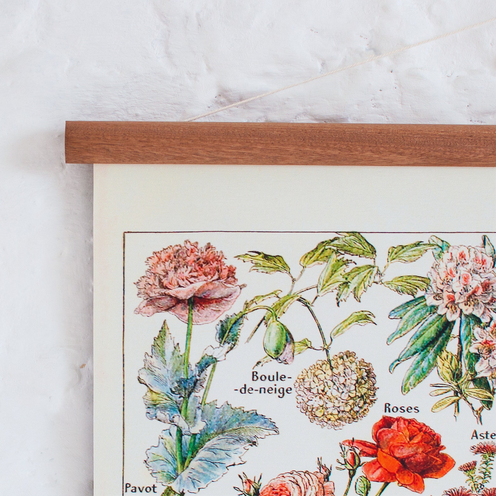 Flowers Vintage Pull Down Wall Chart - Etsy
