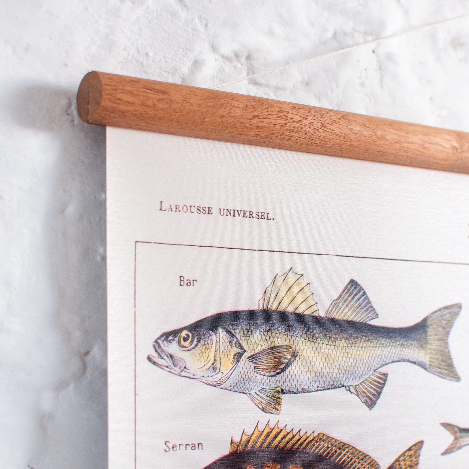 Vintage Pull Down Chart Fish / Poissons. High Quality Handmade Vintage ...