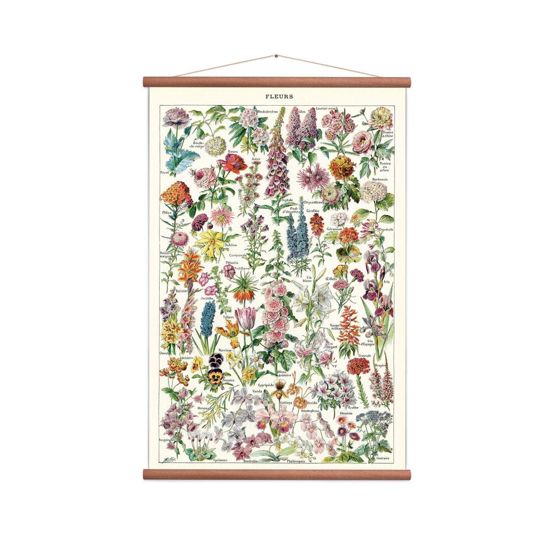 Flowers Vintage Pull Down Wall Chart - Etsy