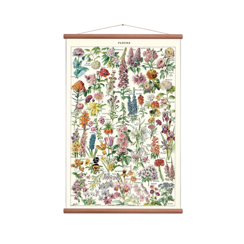 Flowers Vintage Pull Down Wall Chart - Etsy
