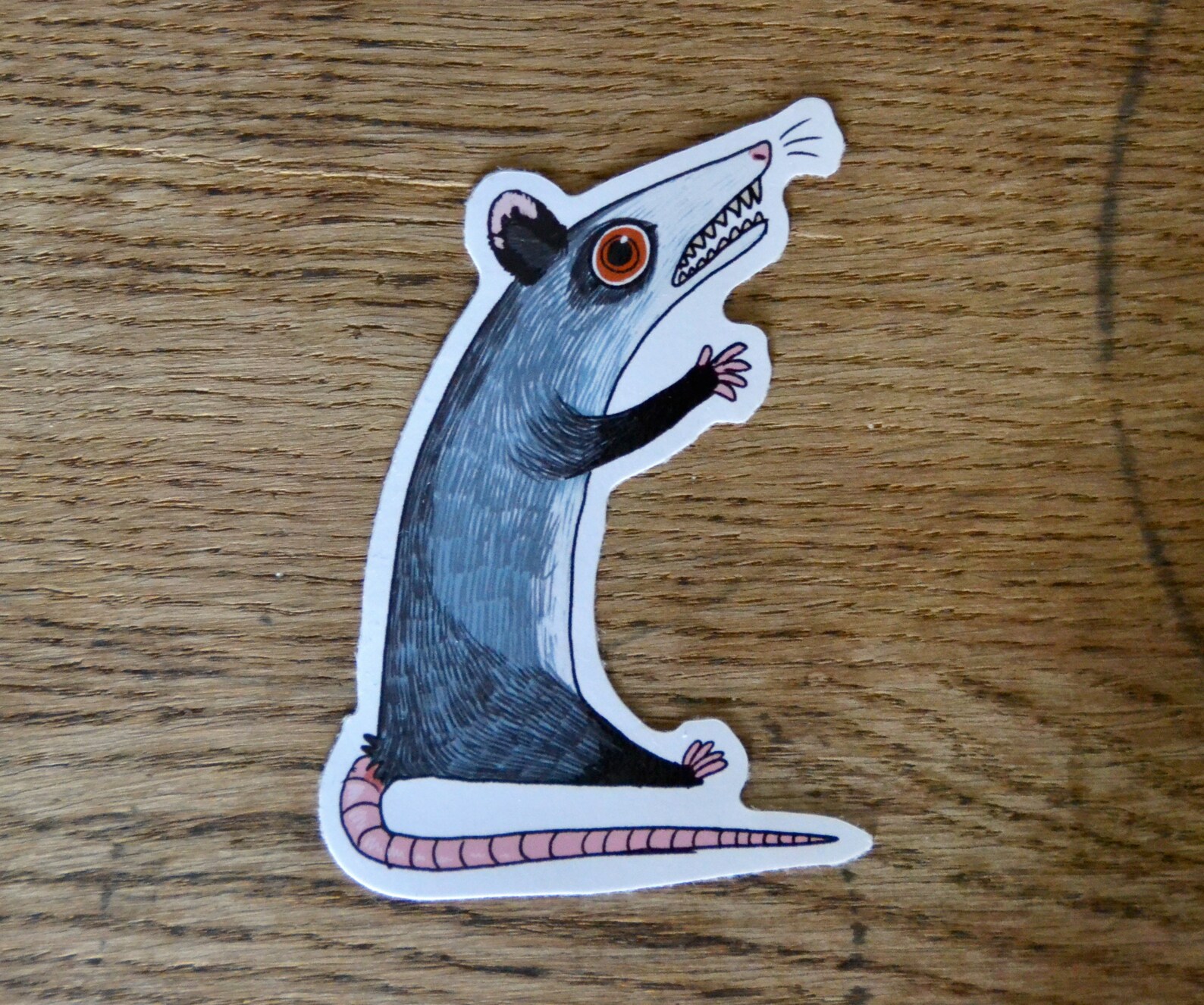 Opossum Vinyl Sticker Packs - Etsy