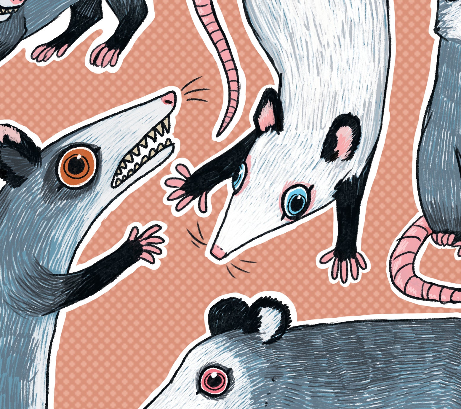 Opossum Vinyl Sticker Packs - Etsy
