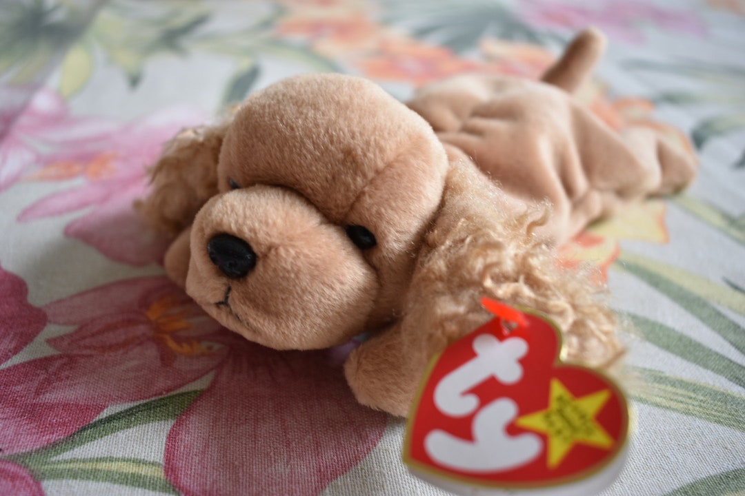 TY Beanie Baby - Spunky the Cocker Spaniel, 1997, RETIRED, RARE, Tag ...