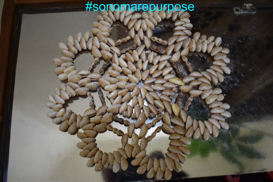 Vintage 1970s Sea Shell Flower Trivet, Mid-century Trivet, Rare Sea ...