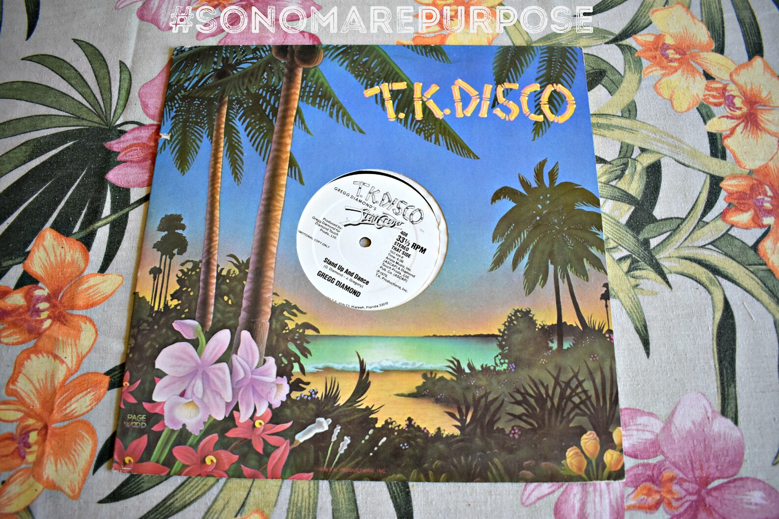 Gregg Diamond Danger - Stand up and Dance, TK Disco Vinyl Record Promo ...
