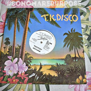 Gregg Diamond Danger - Stand up and Dance, TK Disco Vinyl Record Promo ...