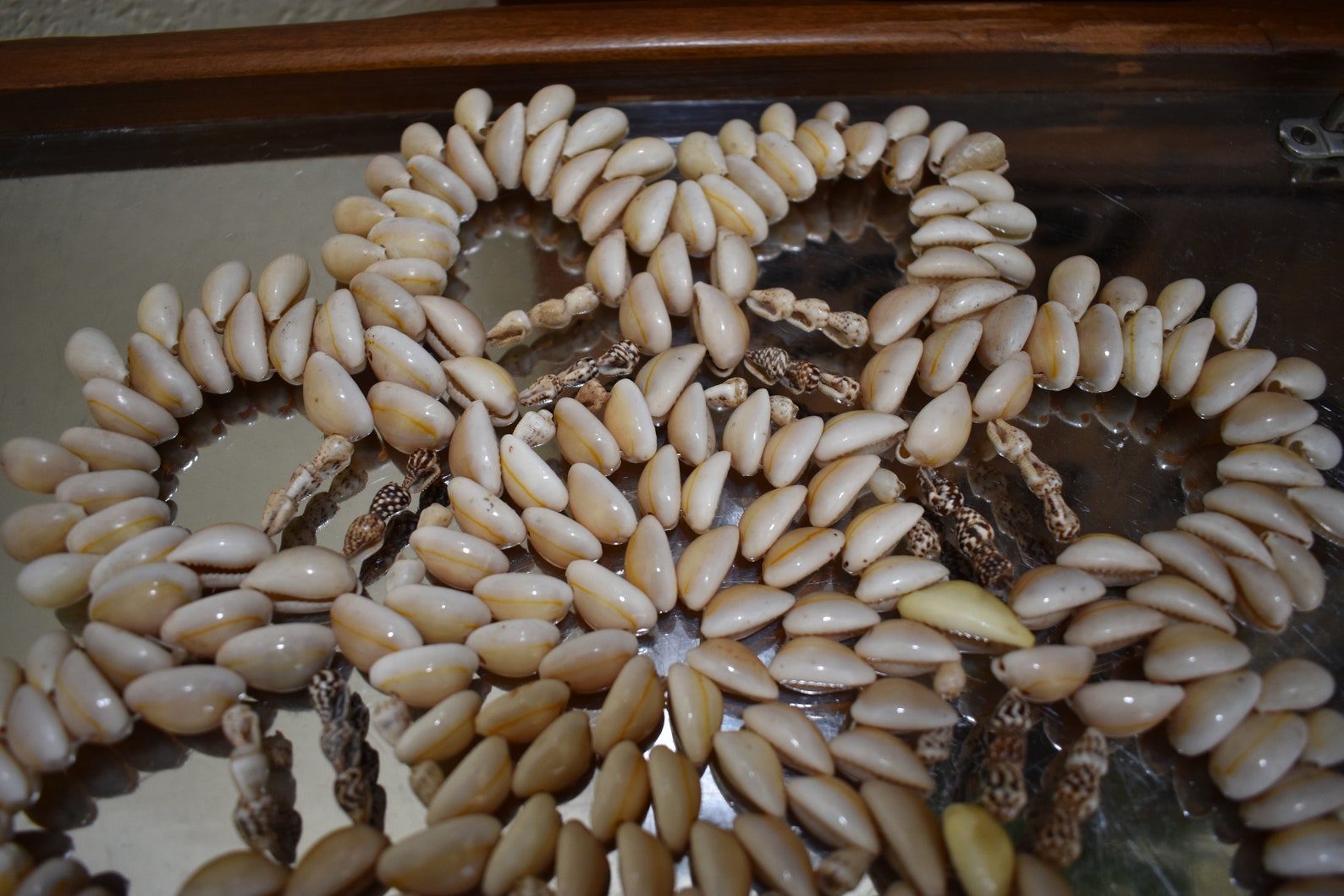 Vintage 1970s Sea Shell Flower Trivet Mid-century Trivet - Etsy