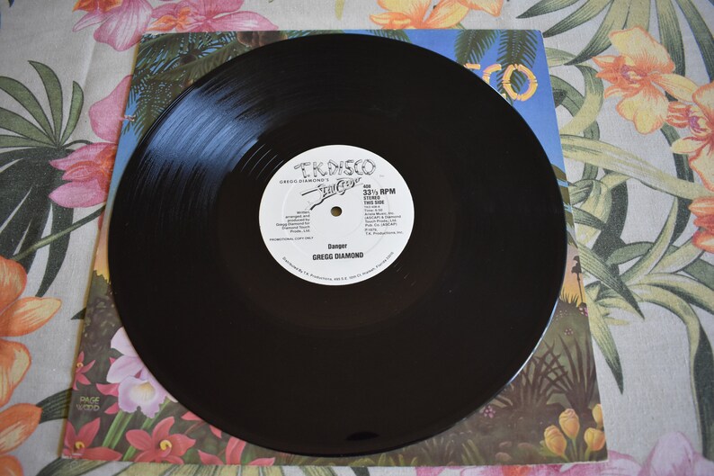 Gregg Diamond Danger - Stand up and Dance, TK Disco Vinyl Record Promo ...