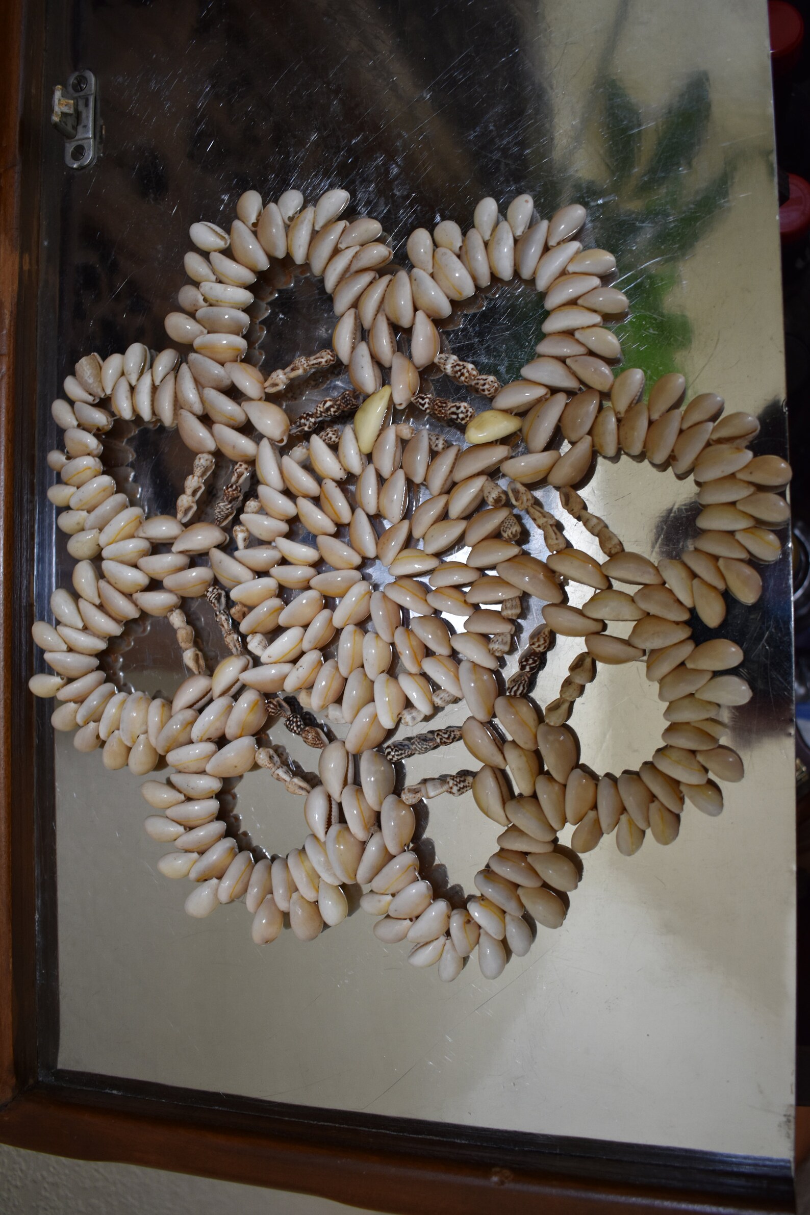Vintage 1970s Sea Shell Flower Trivet, Mid-century Trivet, Rare Sea ...