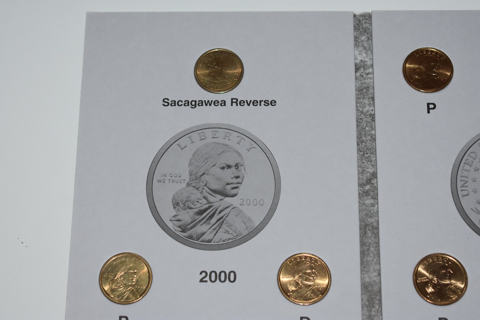Sacagawea Dollar Album Set 11 Coins 2000-2004 Sacagawea - Etsy
