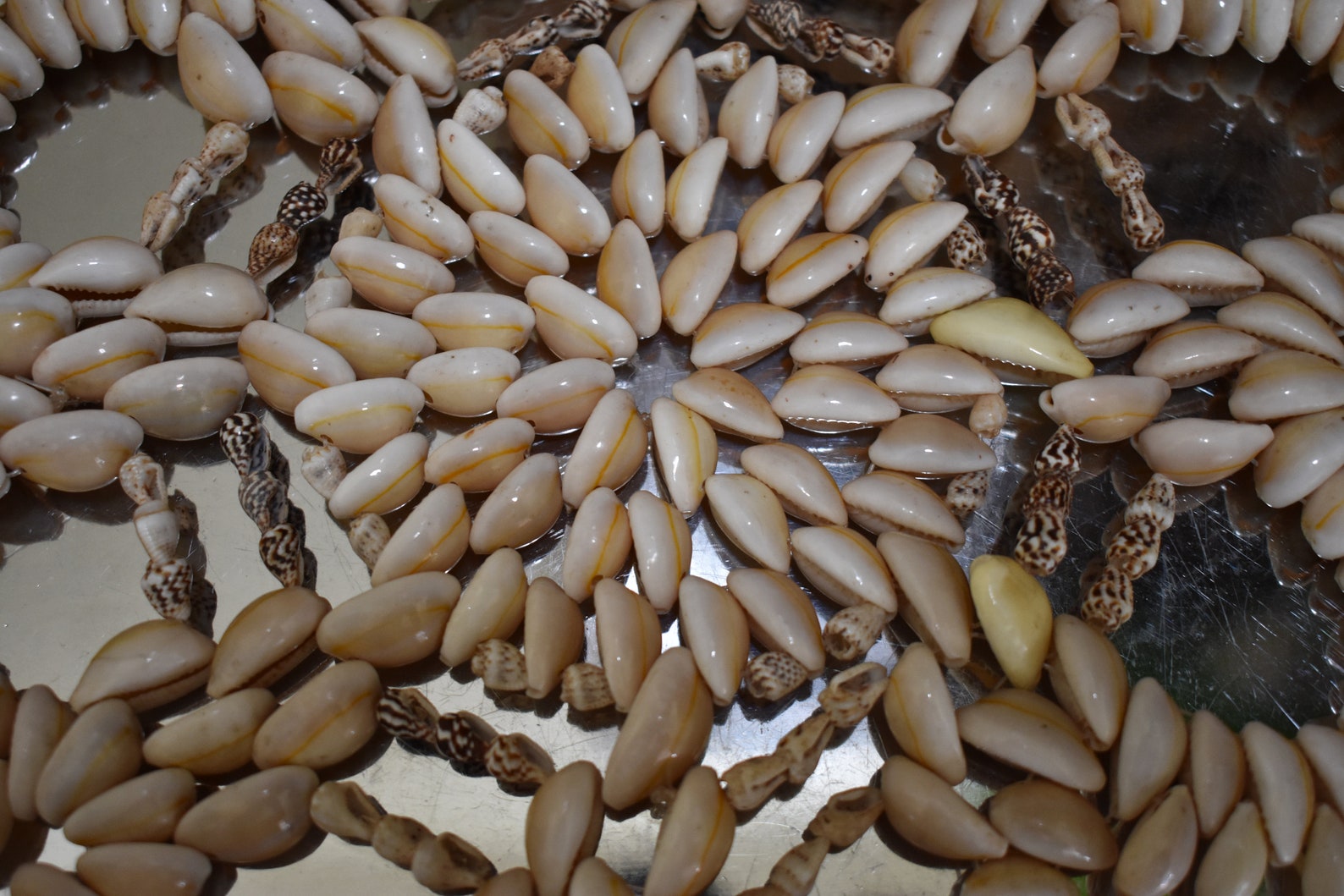 Vintage 1970s Sea Shell Flower Trivet Mid-century Trivet - Etsy