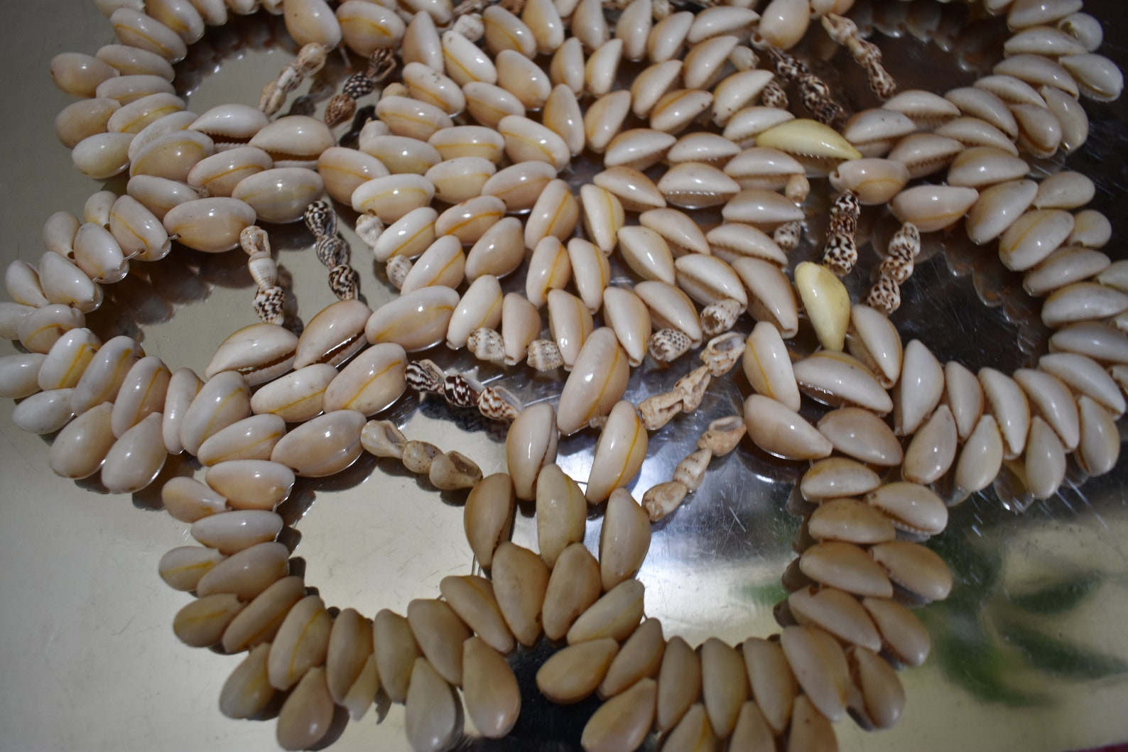 Vintage 1970s Sea Shell Flower Trivet Mid-century Trivet - Etsy