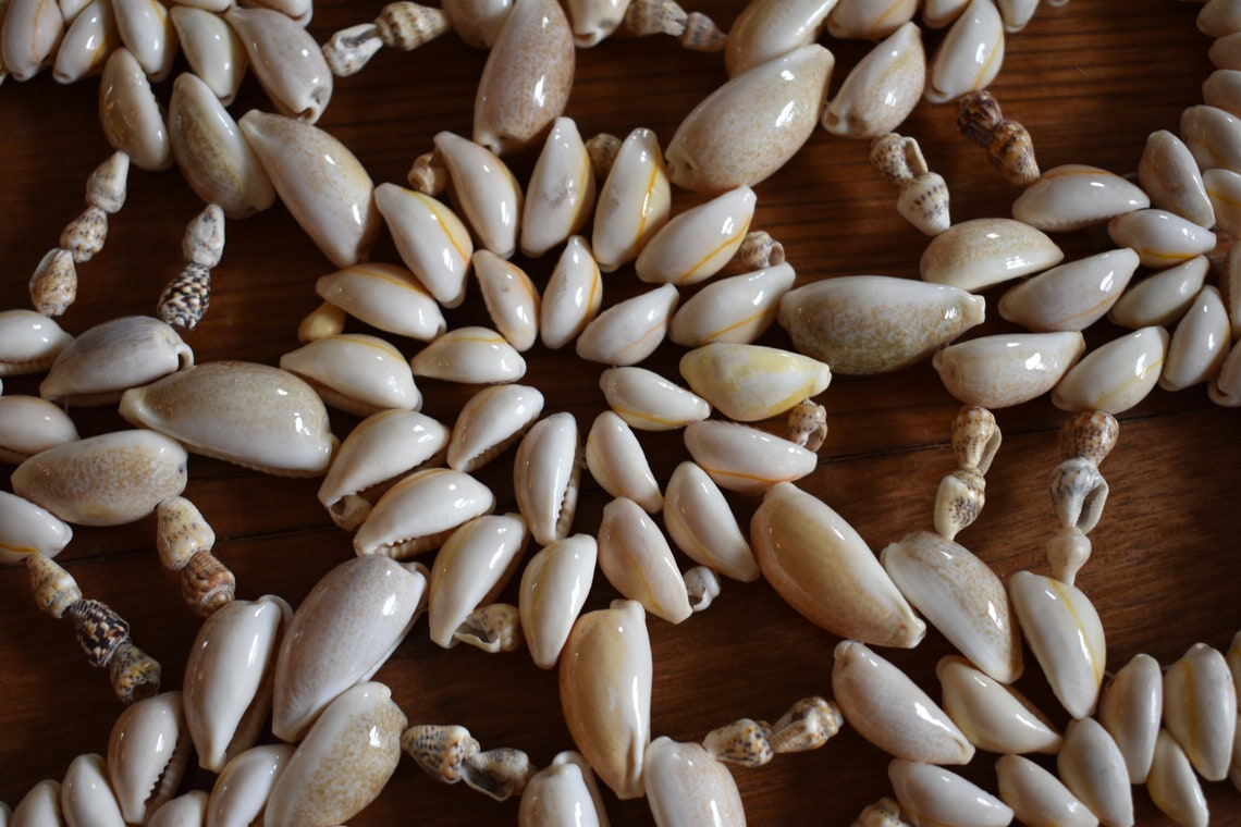 Vintage 1970s Sea Shell Flower Trivet Mid-century Trivet - Etsy