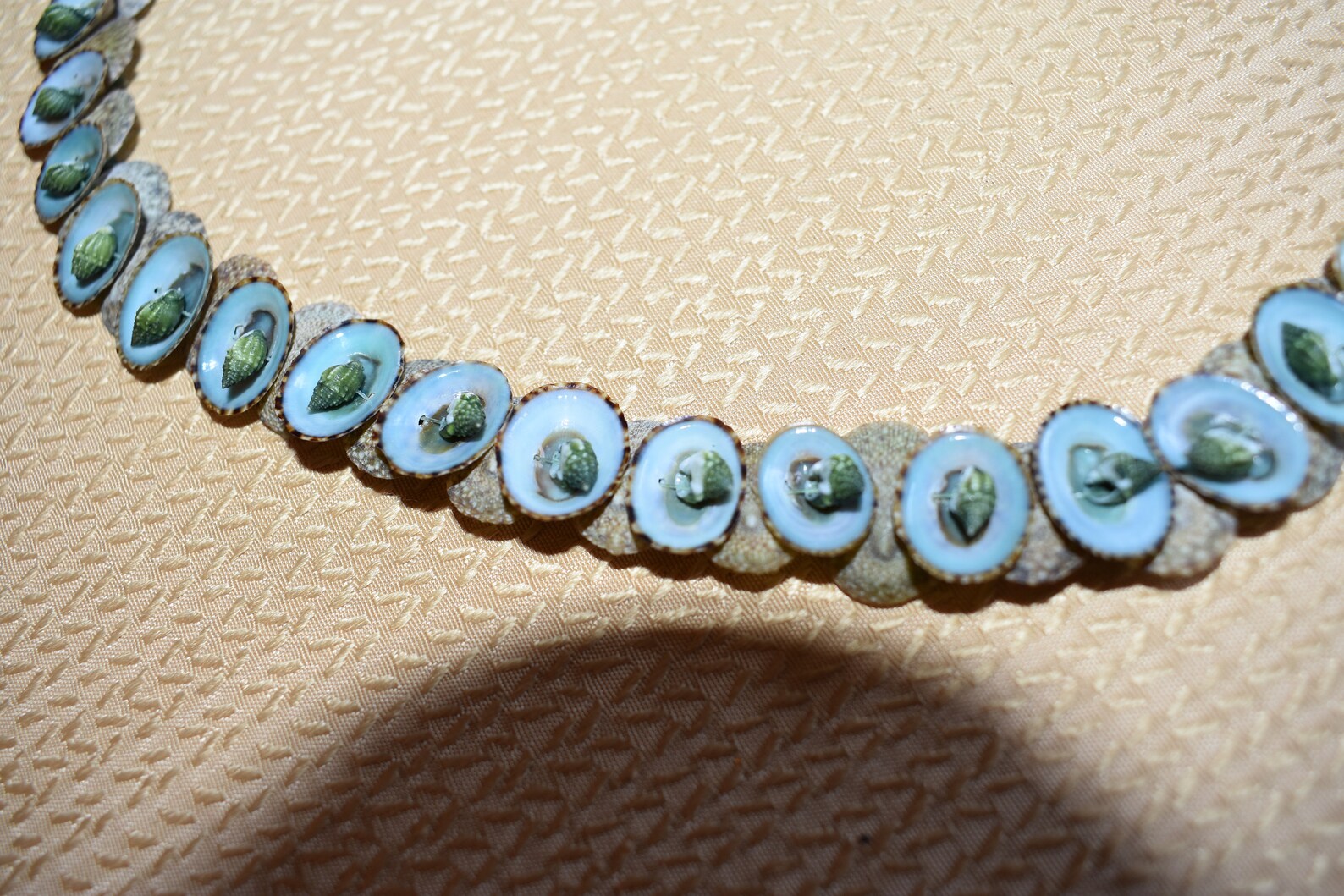 Vintage Polynesian Blue Brown Sea Shell Necklace 24", Vintage Handmade ...