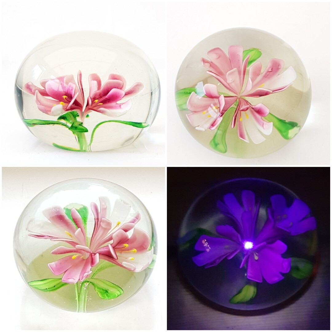 Vintage Glass Paperweight Round Pink Lillies Crocus Flowers Leaves - Etsy