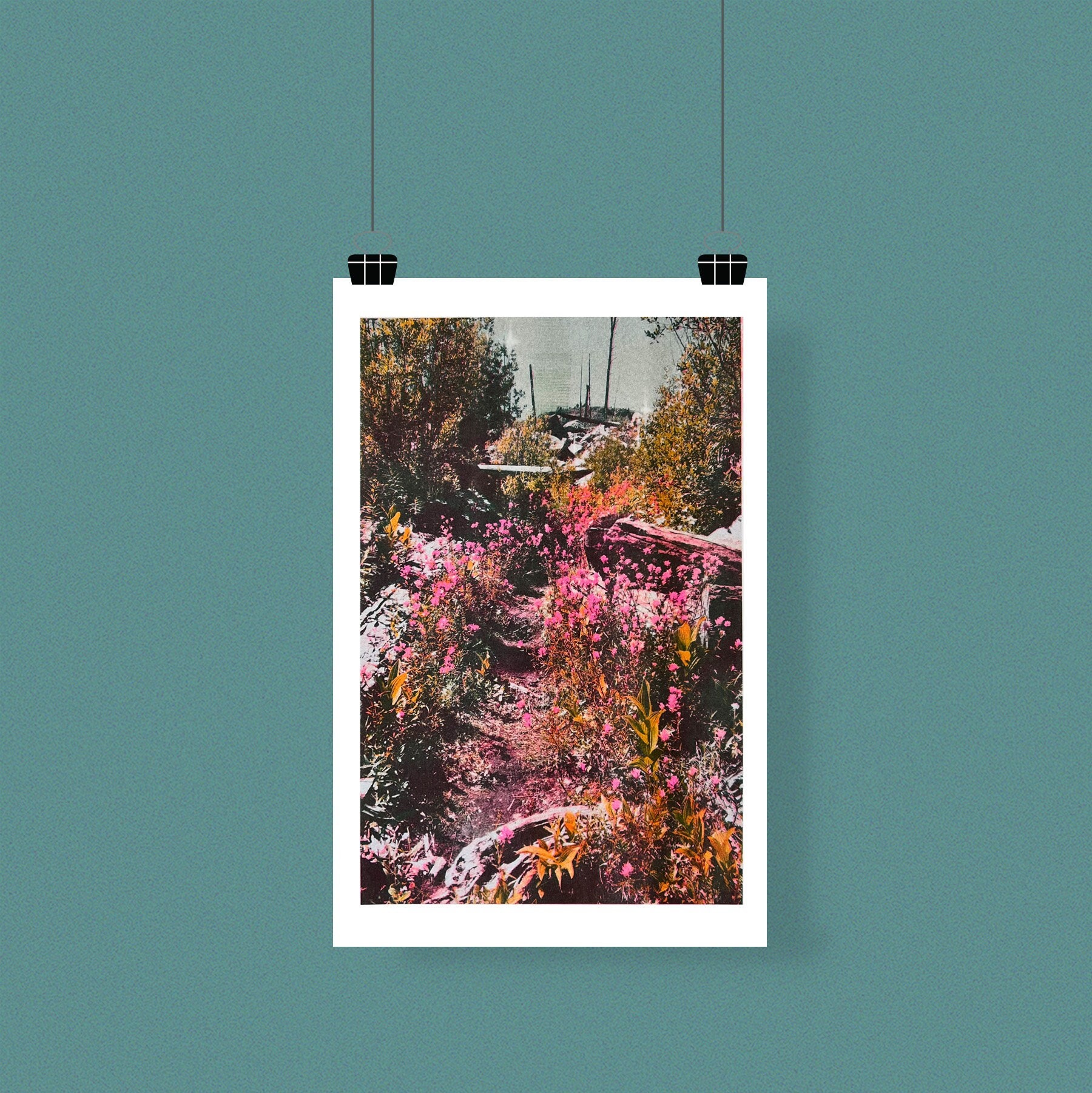 Wildflower Risograph Photo Print - Etsy