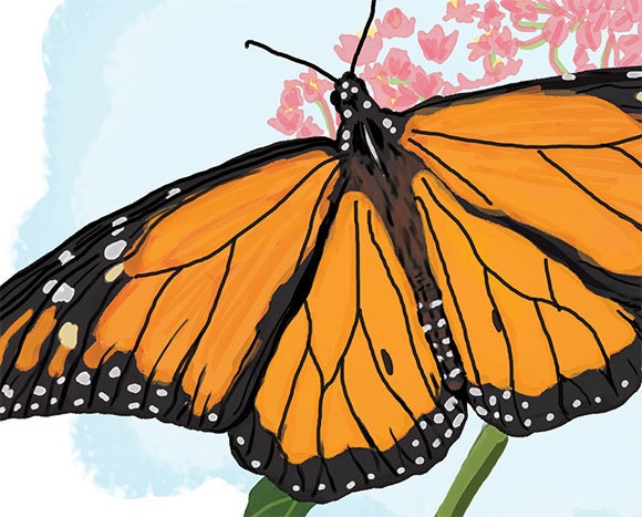 Monarch Butterfly Card - Etsy