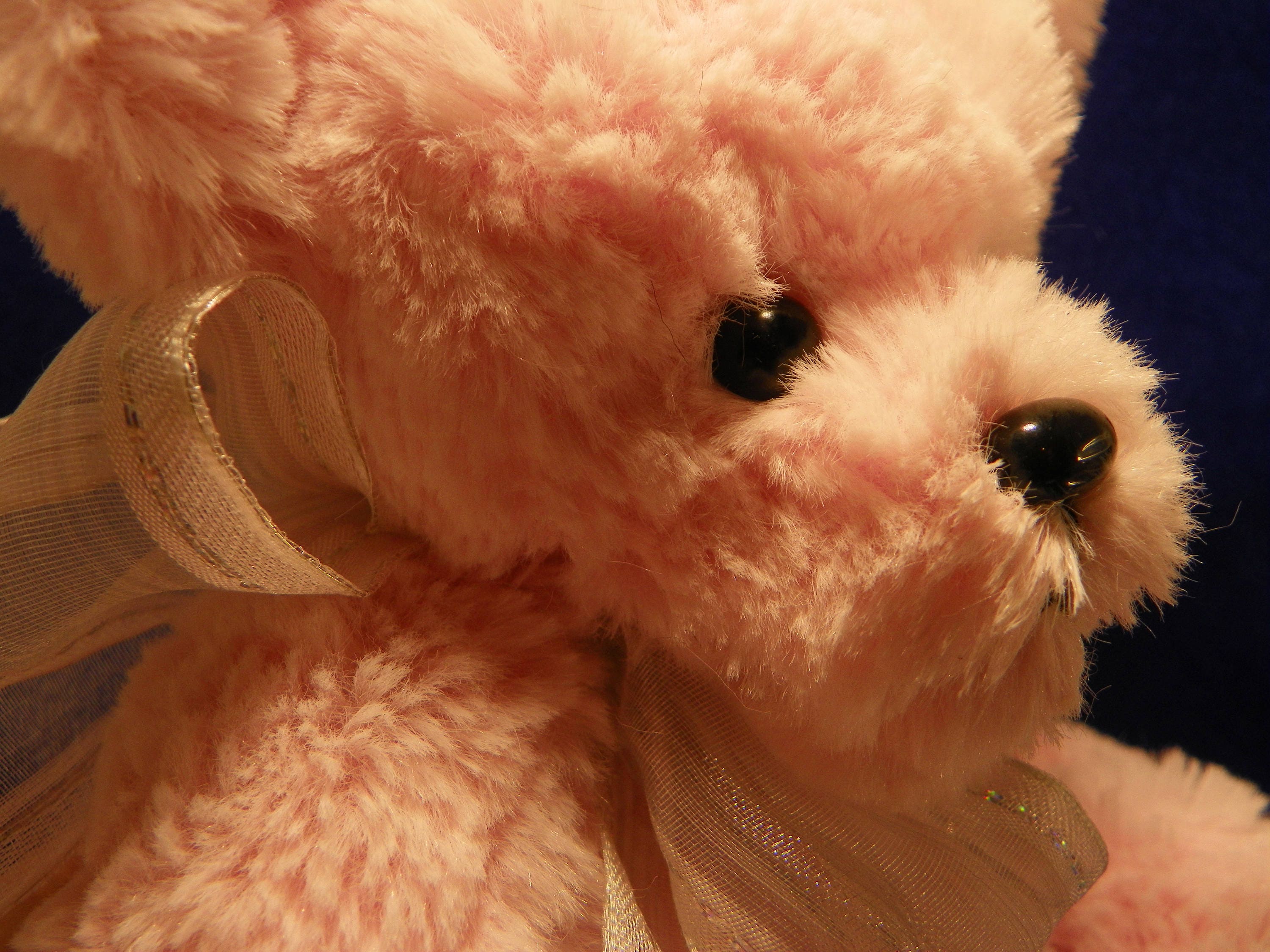 Petunia OOAK Artist Handcrafted Bear by Sher's Bears - Etsy Canada