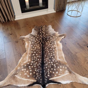 European Fallow Deer Hides 100% Natural XL Size, Beautiful Decoration ...