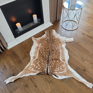 European Fallow Deer Hides 100% Natural XL Size, Beautiful Decoration ...