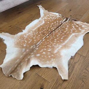 European Fallow Deer Hides 100% Natural XL Size, Beautiful Decoration ...