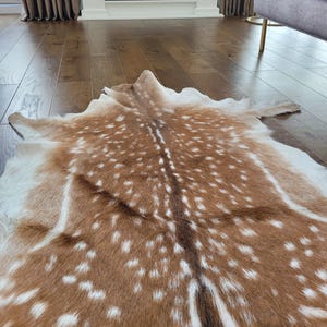 European Fallow Deer Hides 100% Natural XL Size, Beautiful Decoration ...
