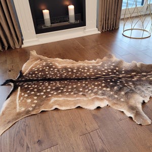 European Fallow Deer Hides 100% Natural XL Size, Beautiful Decoration ...