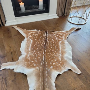 European Fallow Deer Hides 100% Natural XL Size, Beautiful Decoration ...