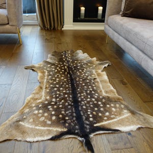 European Fallow Deer Hides 100% Natural XL Size, Beautiful Decoration ...