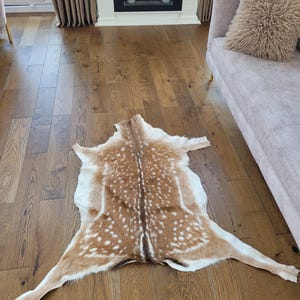 European Fallow Deer Hides 100% Natural XL Size, Beautiful Decoration ...
