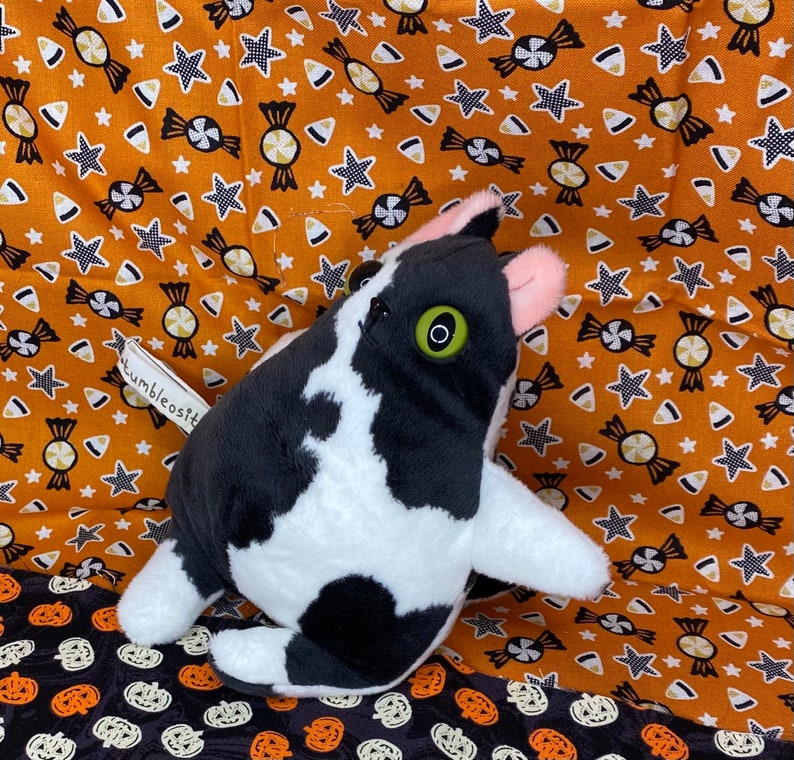 Fat Black Cat Bean Bag Plush ( Green Eyes) - Etsy