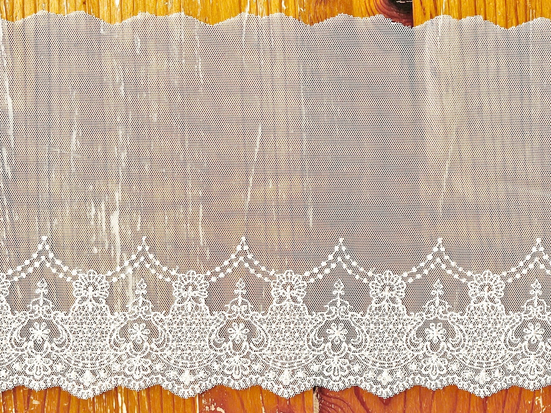Gorgeous Light Cream Colored Mesh Lace Trim With a Fine Embroidered ...