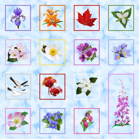Craft Supplies & Tools Canada Flowers Glorious and Free Cotton Fabric ...