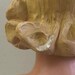 Vintage Plaster Mannequin Head Female Art Deco Blonde Girl Manikin Bust ...