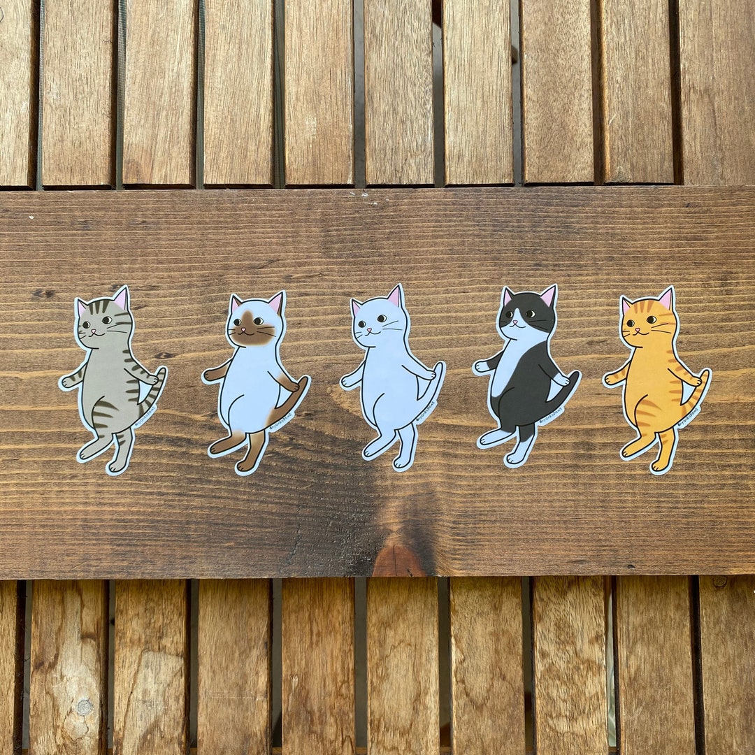 Skip Cat 5 Color - Etsy