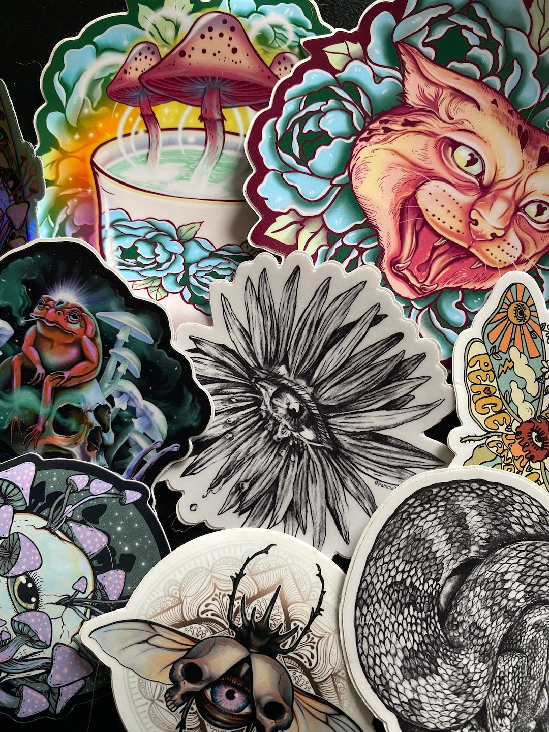 Mixed 10 Pack Stickers! - Etsy