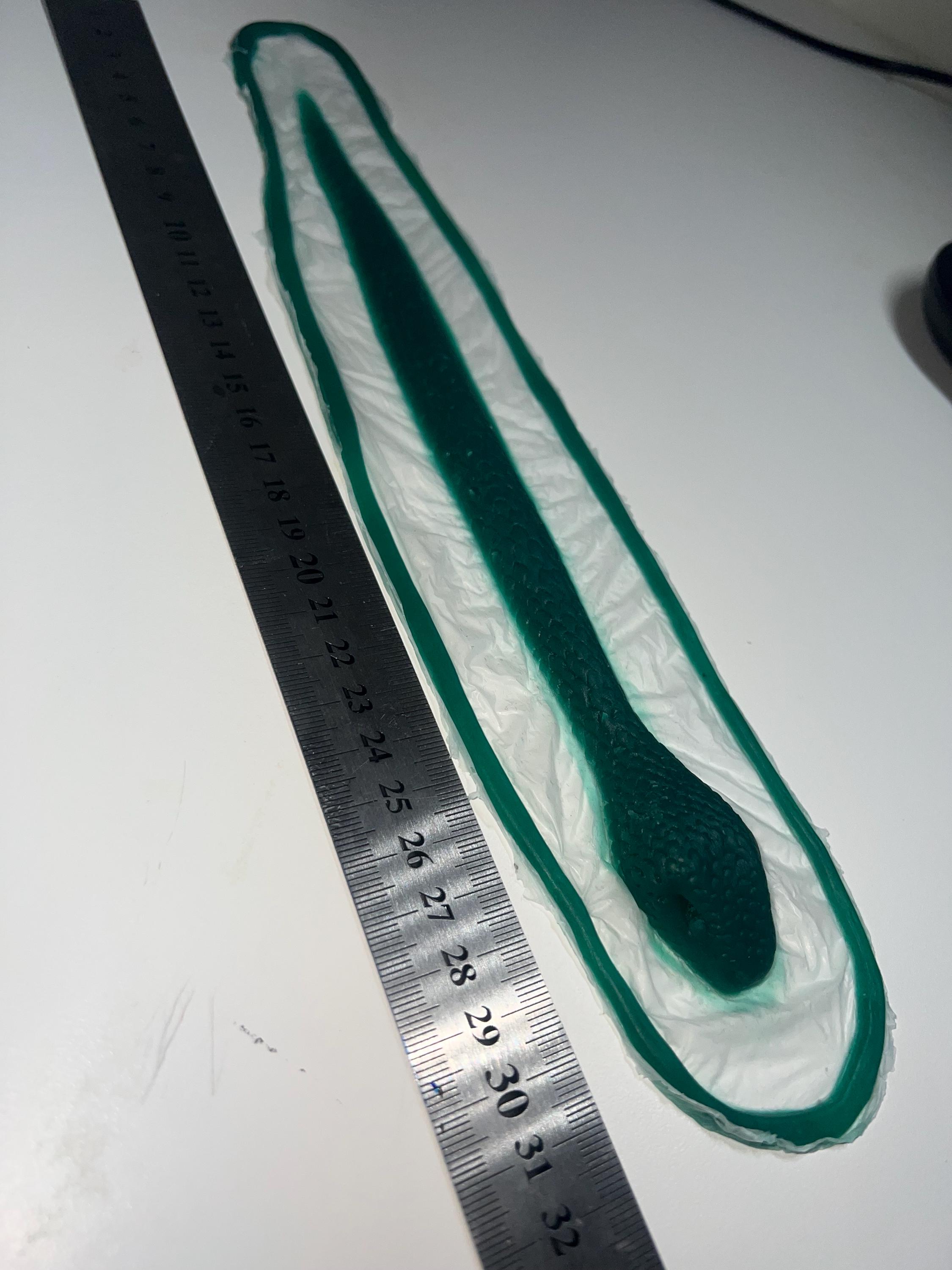 Silicone Snake Prosthetic - SFX Makeup Medusa - Etsy