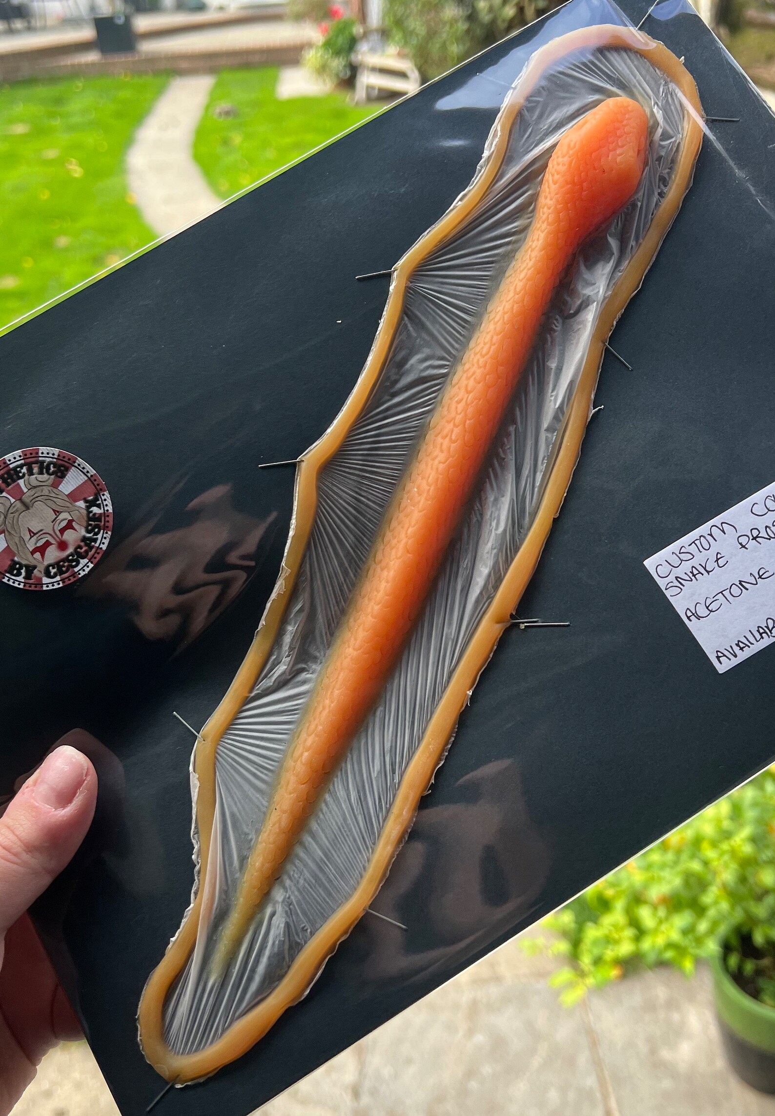 Silicone Snake Medusa Prosthetic SFX Makeup - Etsy