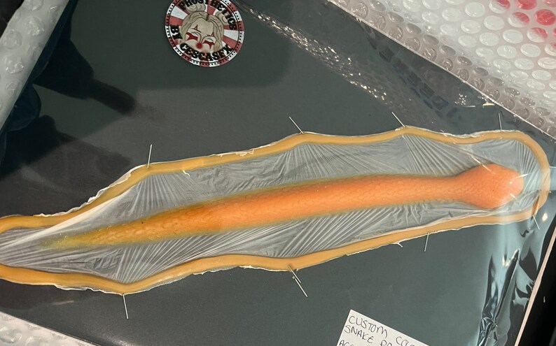 Silicone Snake Medusa Prosthetic SFX Makeup - Etsy