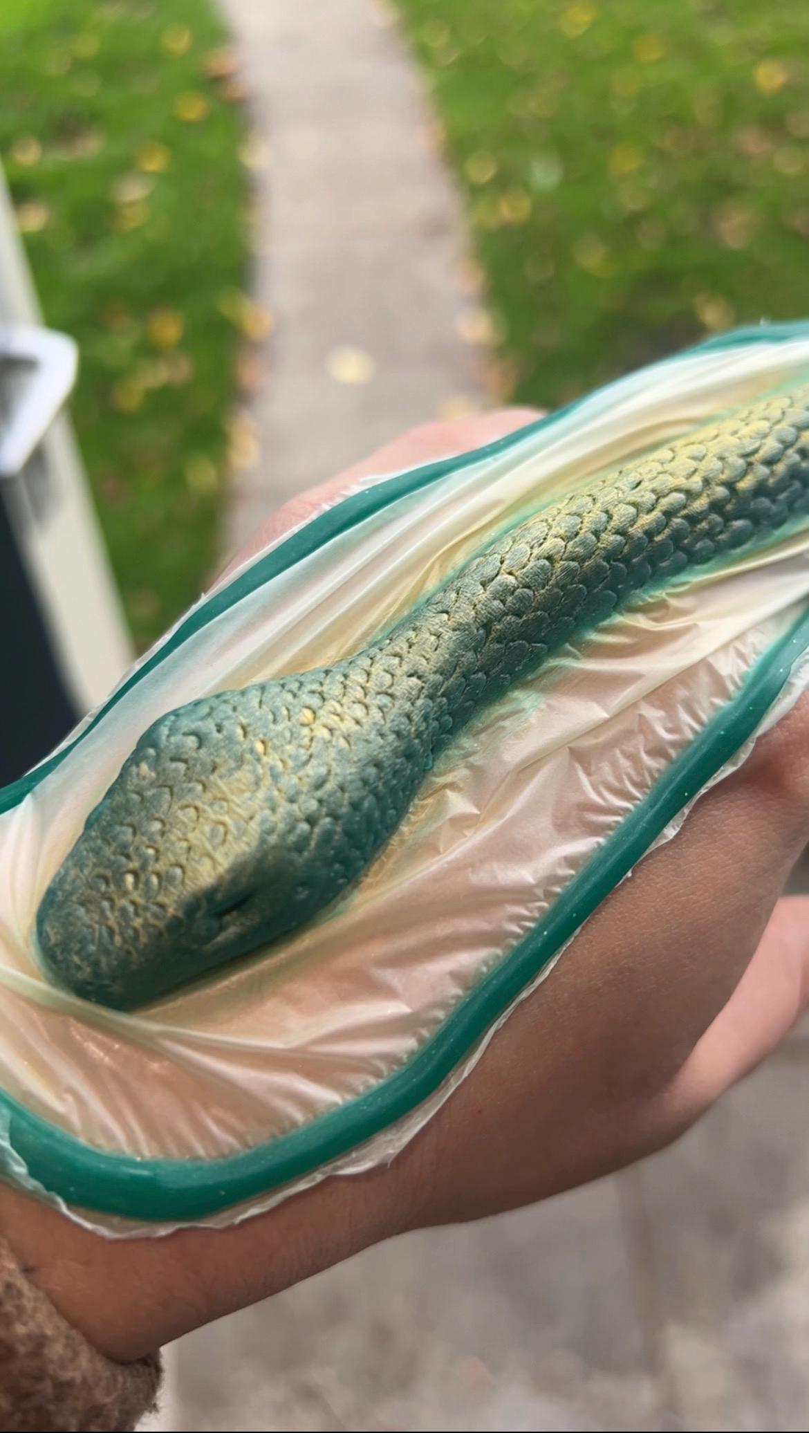 Silicone Snake Prosthetic - SFX Makeup Medusa - Etsy