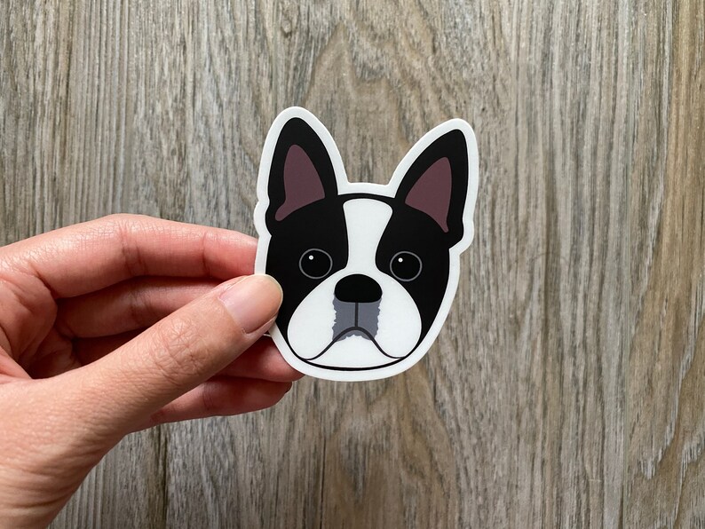 Boston Terrier Vinyl Sticker - Etsy