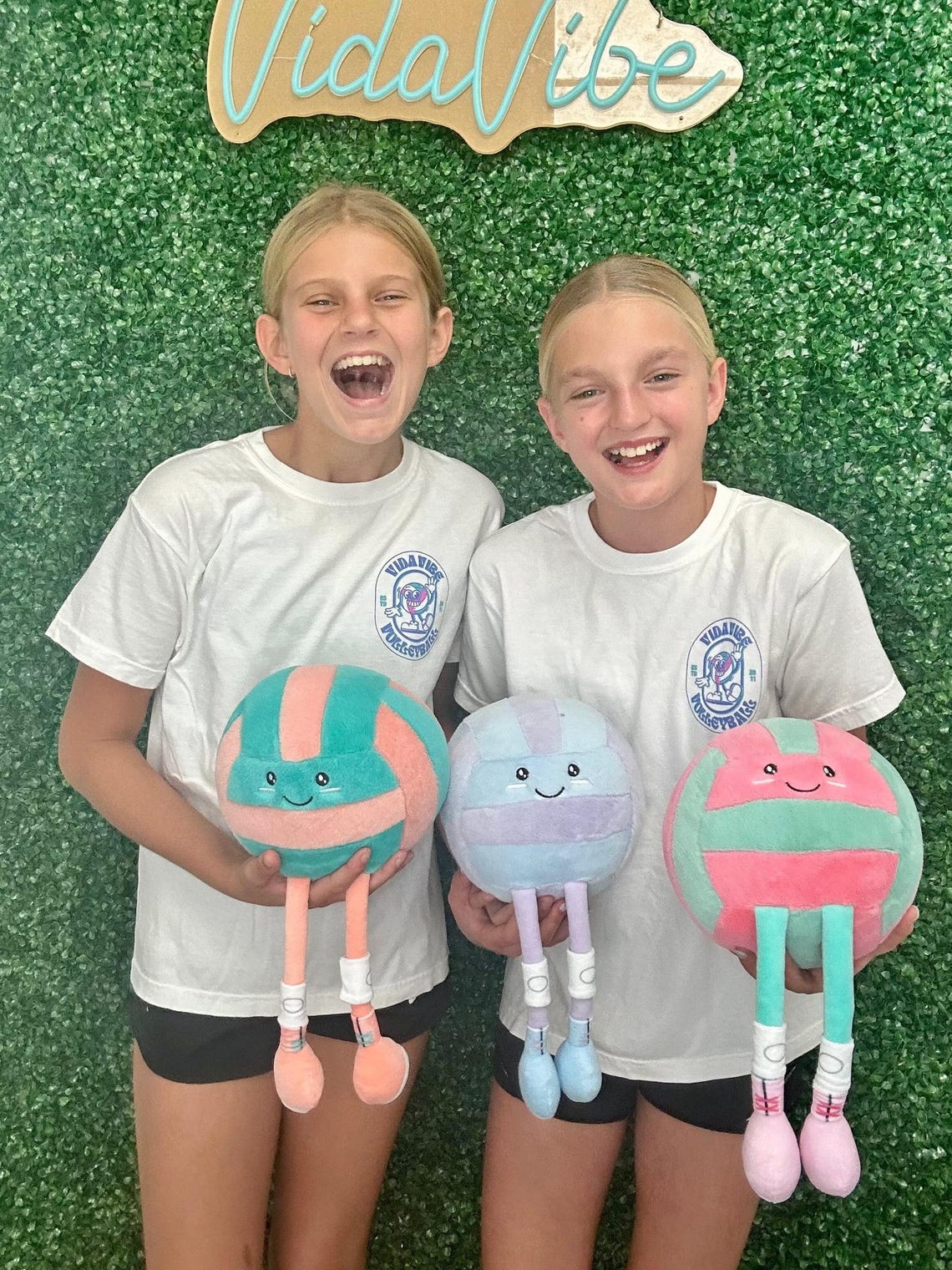 Volleyball Plushie: Pink & Teal Stuffed Toy - Sports Fan Gift - Etsy