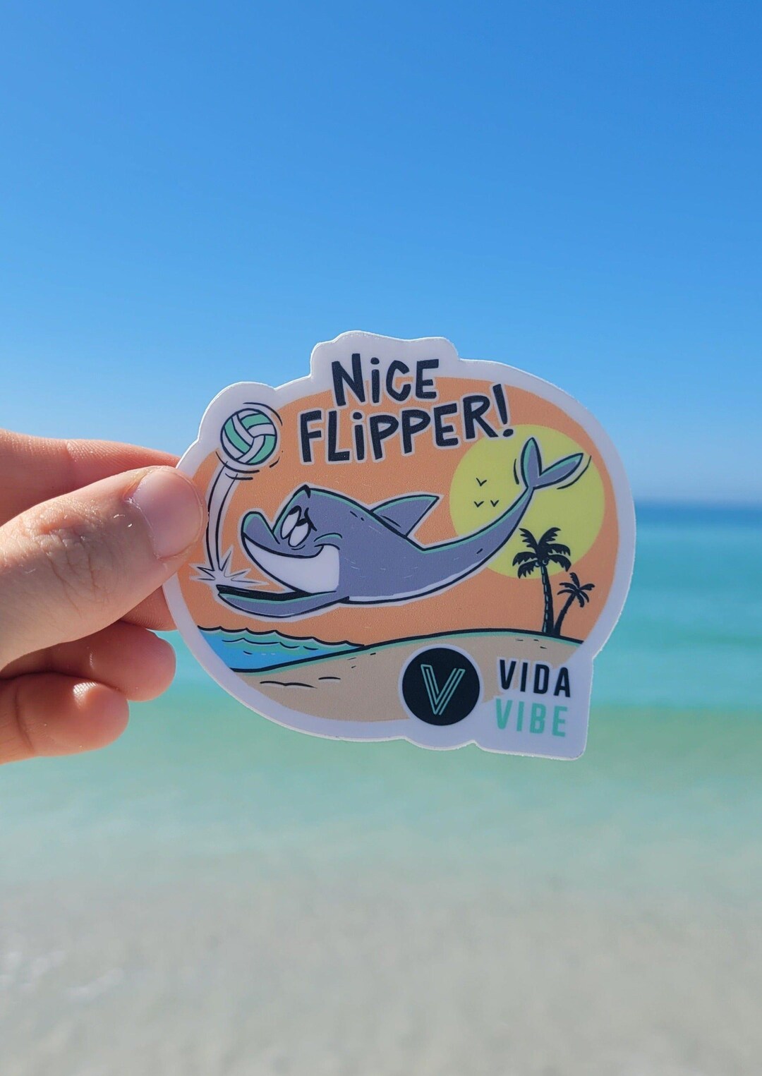 Nice Flipper Volleyball Sticker - Etsy