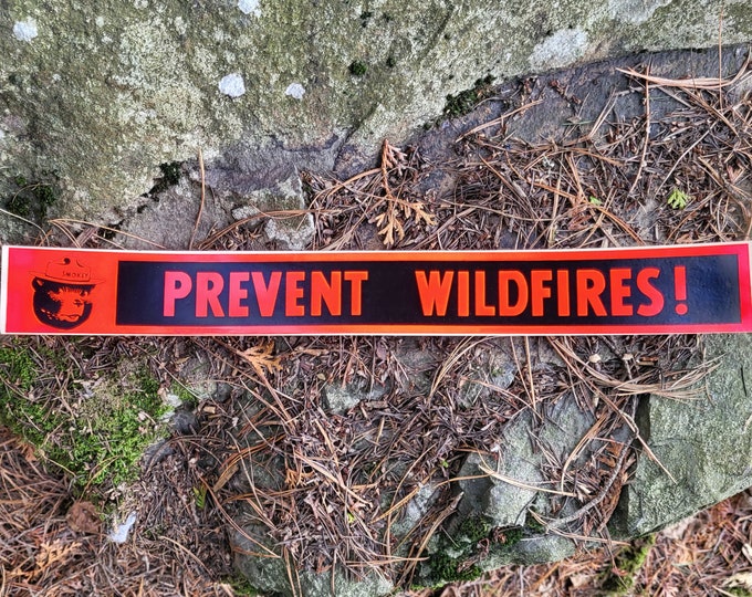 Vintage 1960's Bright Orange Smokey the Bear Prevent Wildfires Bumper ...