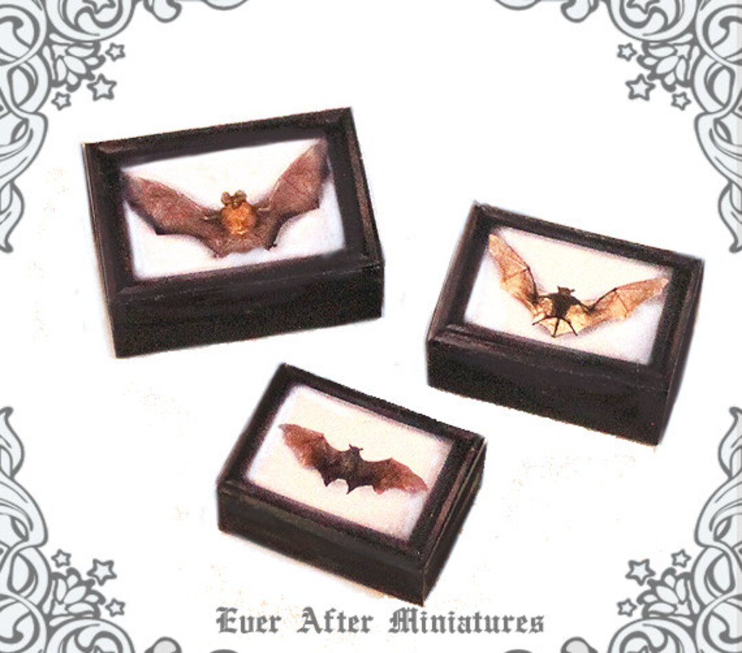 3 BAT Miniature Boxes Display Cases Set –1:12 Dollhouse Vampire Bat ...