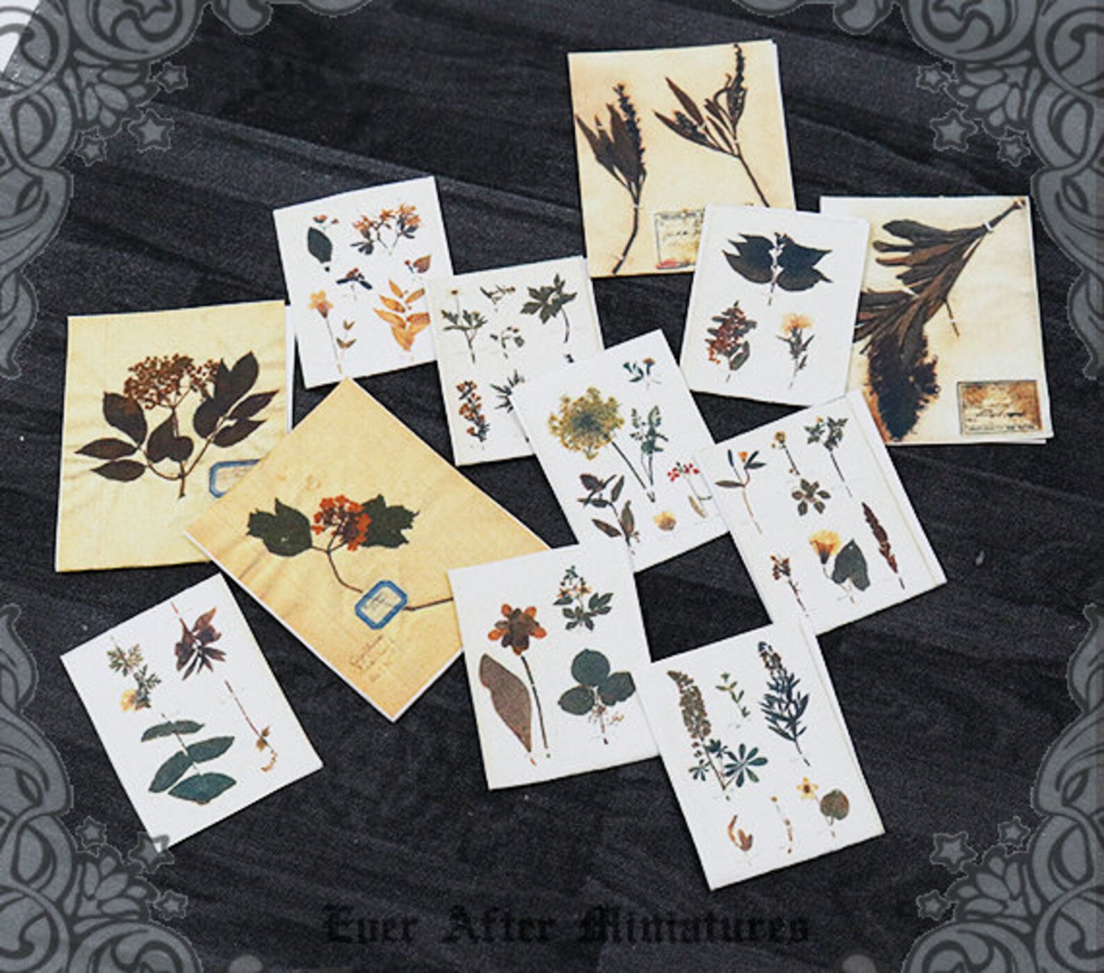 12 DRIED HERB Specimen Paper Set – 1:12 Printable Antique Herbology ...